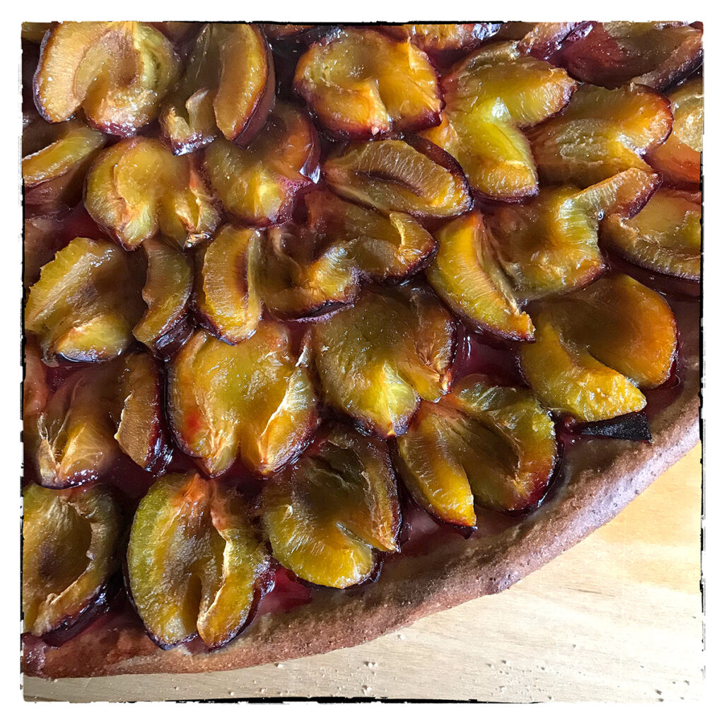 Quitsch Quatsch Quetsch – aus meiner sicht